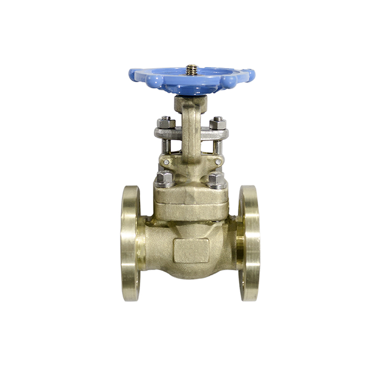 Aluminum bronze integral forged flange gate valve - MingYi Valve