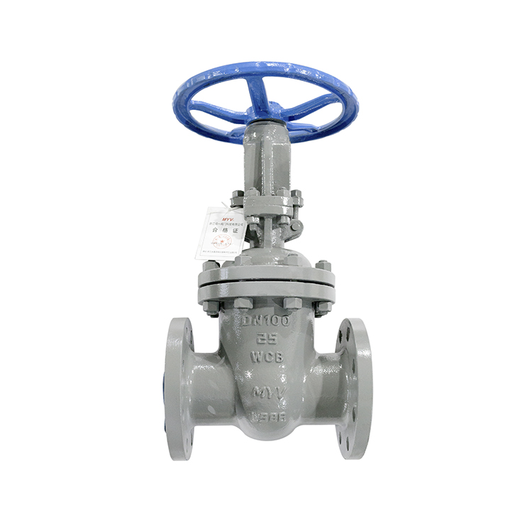 Cast steel flange gate valve - MingYi Valve