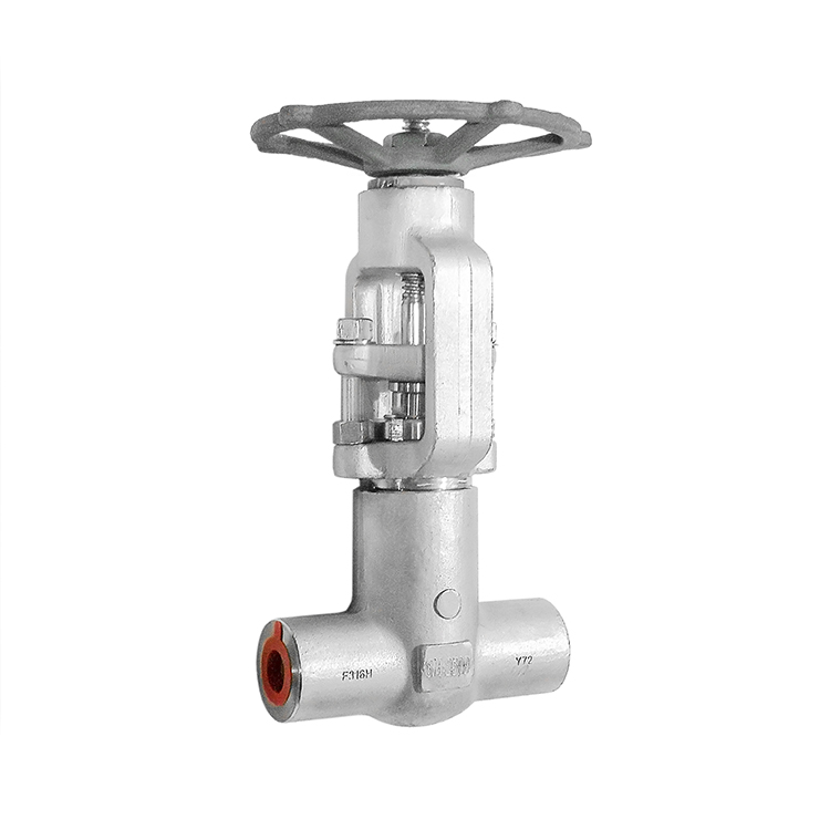 SS self-sealing socket welded gate valve - MingYi Valve