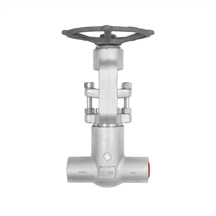SS self-sealing socket welded gate valve - MingYi Valve