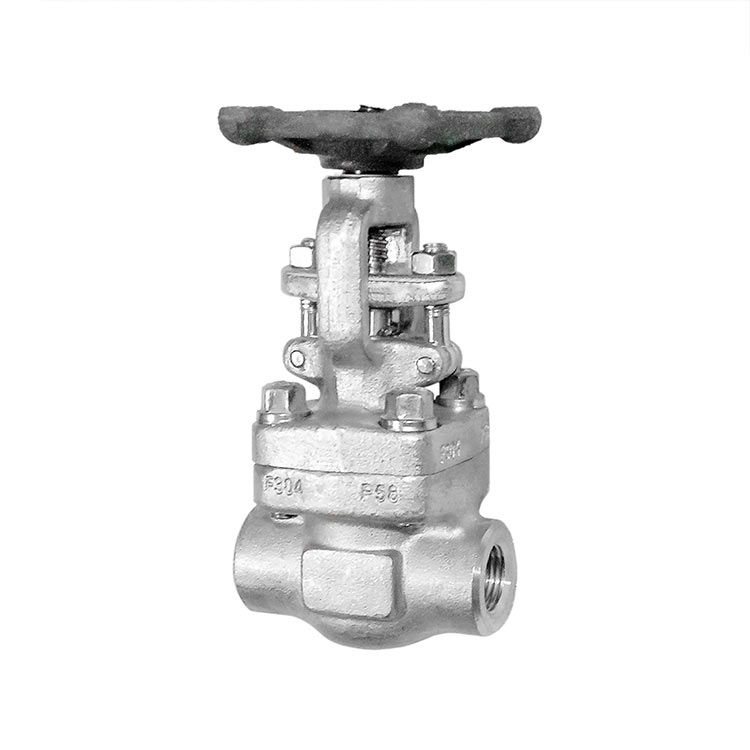 F316 stainless steel socket welded gate valve forged steel gate valve ...