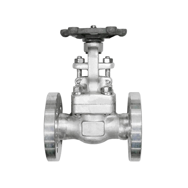Stainless steel welded flange gate valve - MingYi Valve