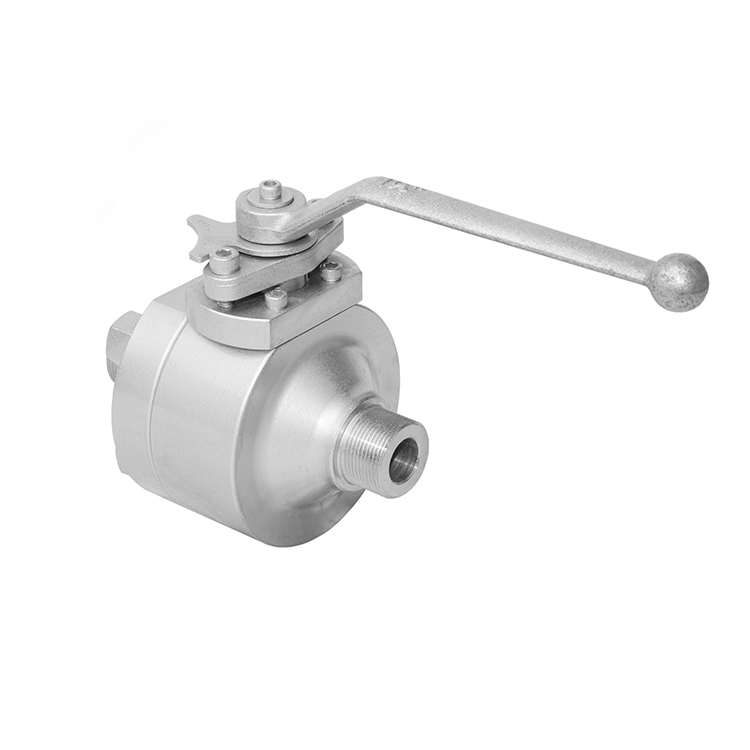 High pressure two piece stainless steel ball valve F316 forged high ...