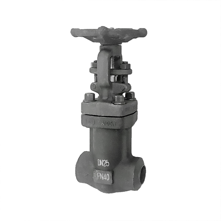 Socket welded corrugated pipe globe valve - MingYi Valve
