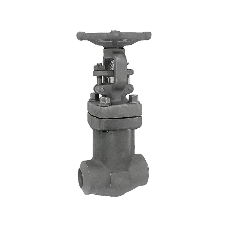 Socket welded corrugated pipe globe valve - MingYi Valve