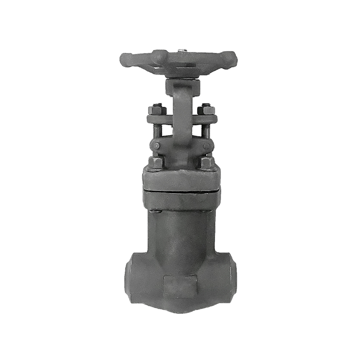 Socket welded corrugated pipe globe valve - MingYi Valve