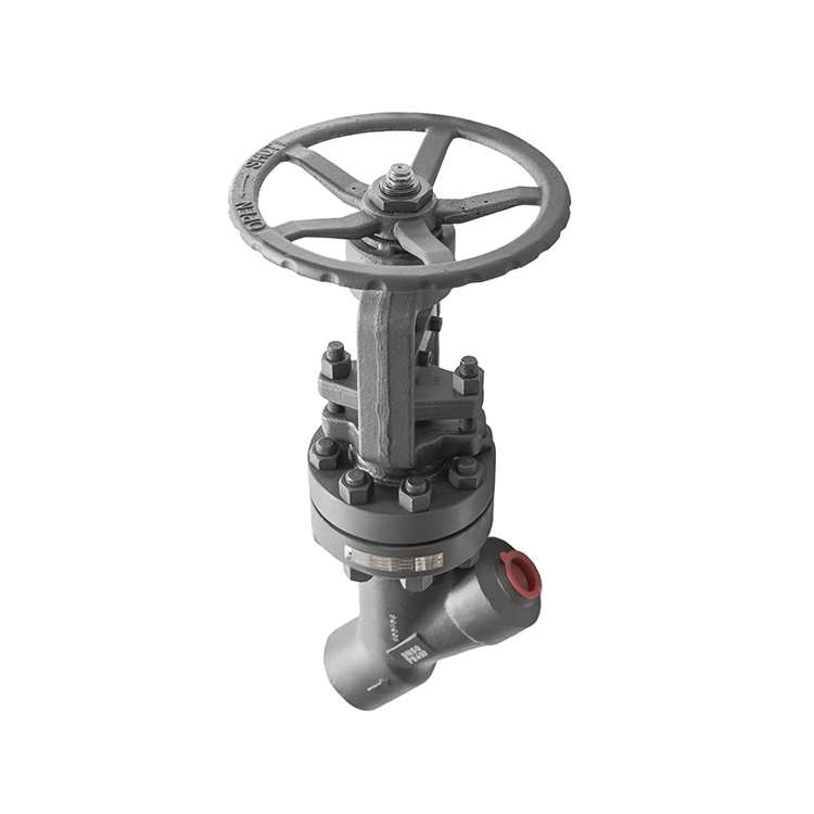 Y type GLOBE VALVE - MingYi Valve